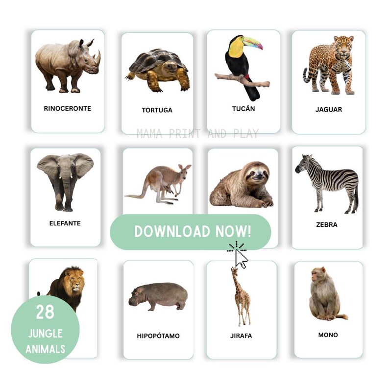 JUNGLE ANIMALS SPANISH Flashcards, Montessori Spanish Flashcards, Pre ...