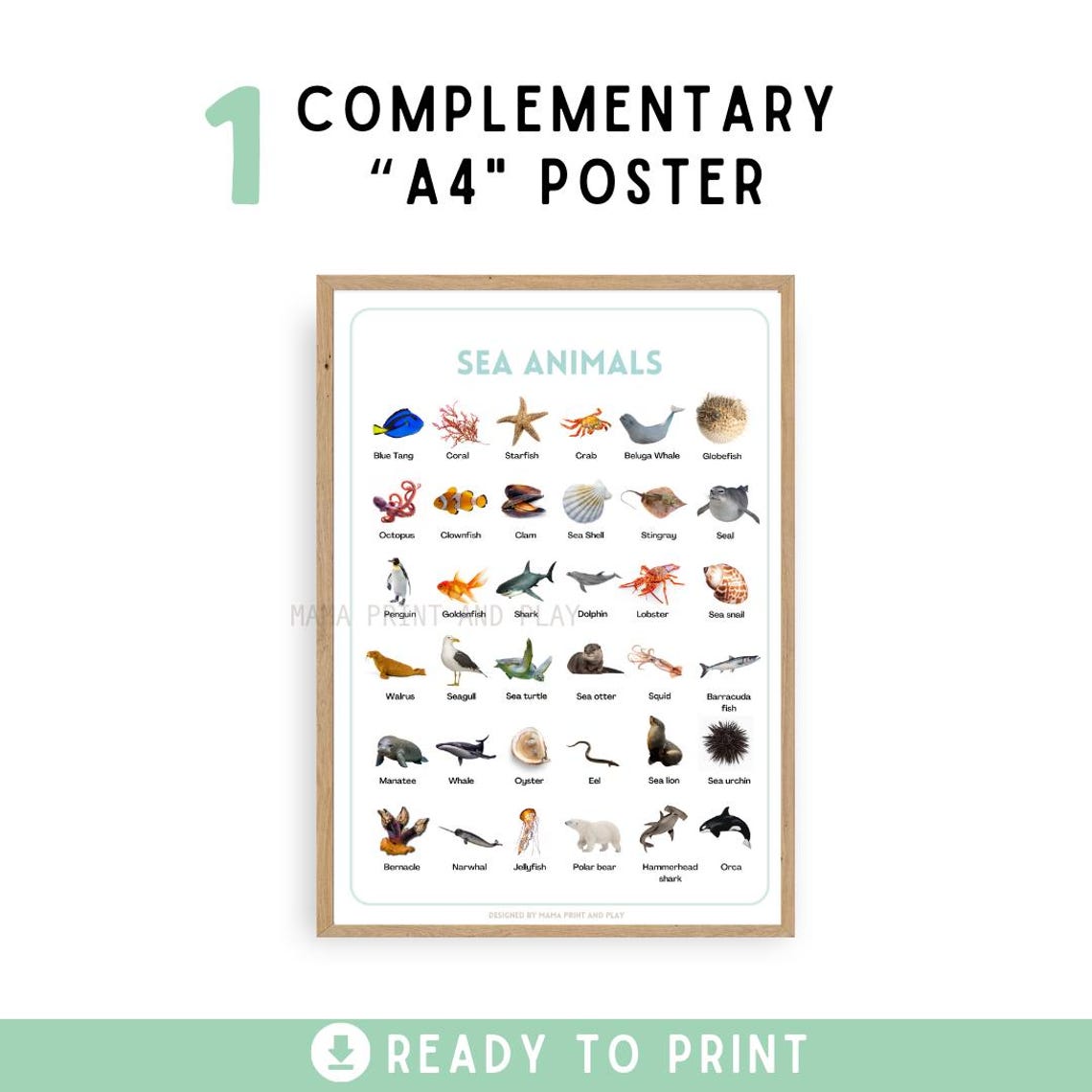 OCEAN ANIMALS | Sea Animals Flashcards | Montessori Cards | Educational ...