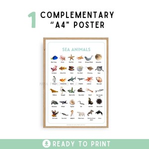 OCEAN ANIMALS | Sea Animals Flashcards | Montessori Cards | Educational ...