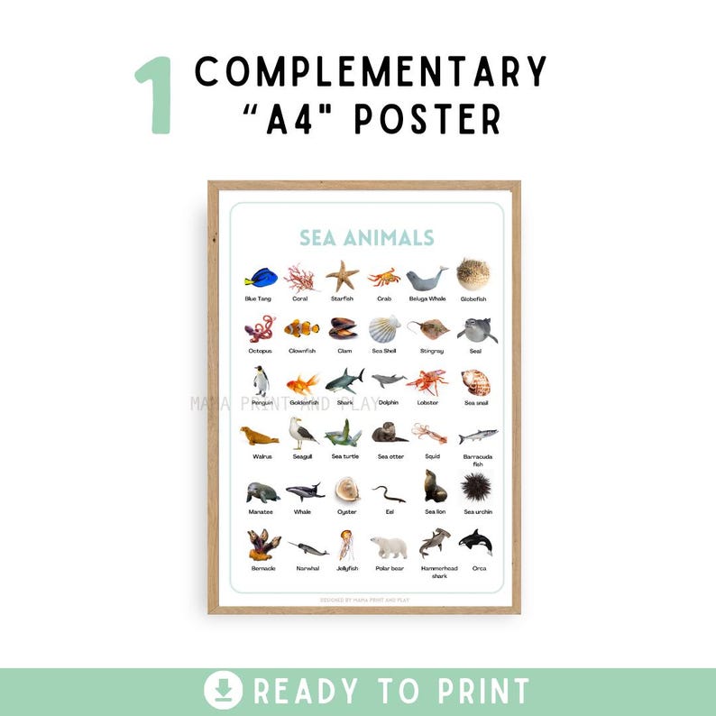 OCEAN ANIMALS | Sea Animals Flashcards | Montessori Cards | Educational ...