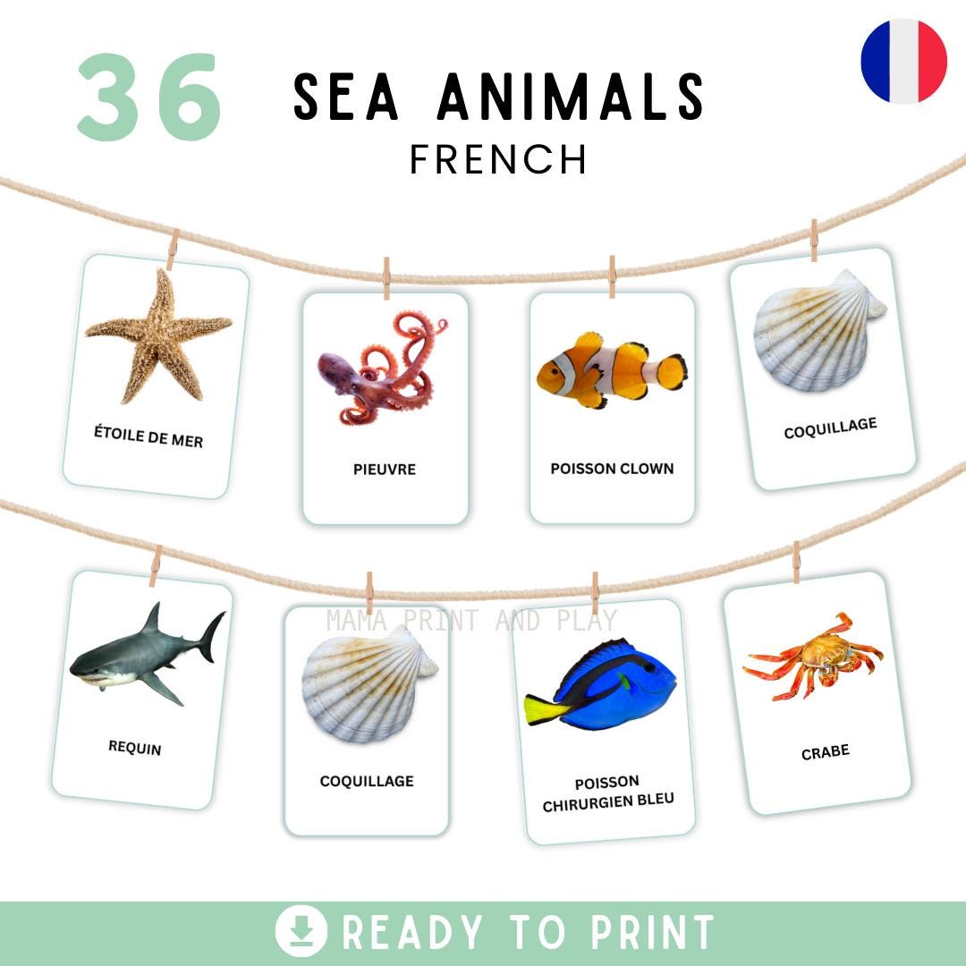 OCEAN ANIMALS FRENCH | French Montessori Cards | Flash Cards Preschool ...
