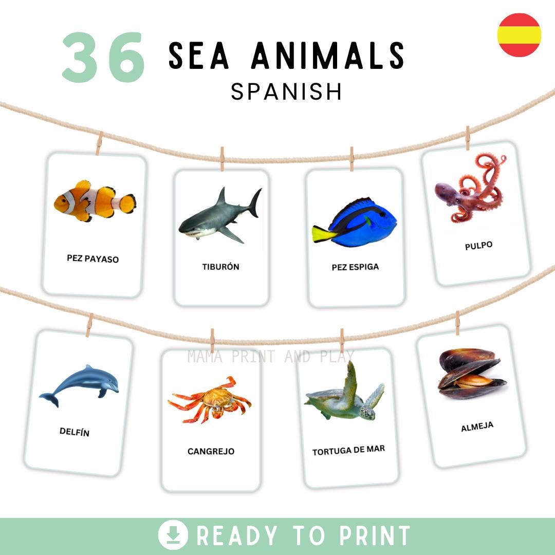 OCEAN ANIMALS SPANISH | Spanish Montessori Cards | Flash Cards ...