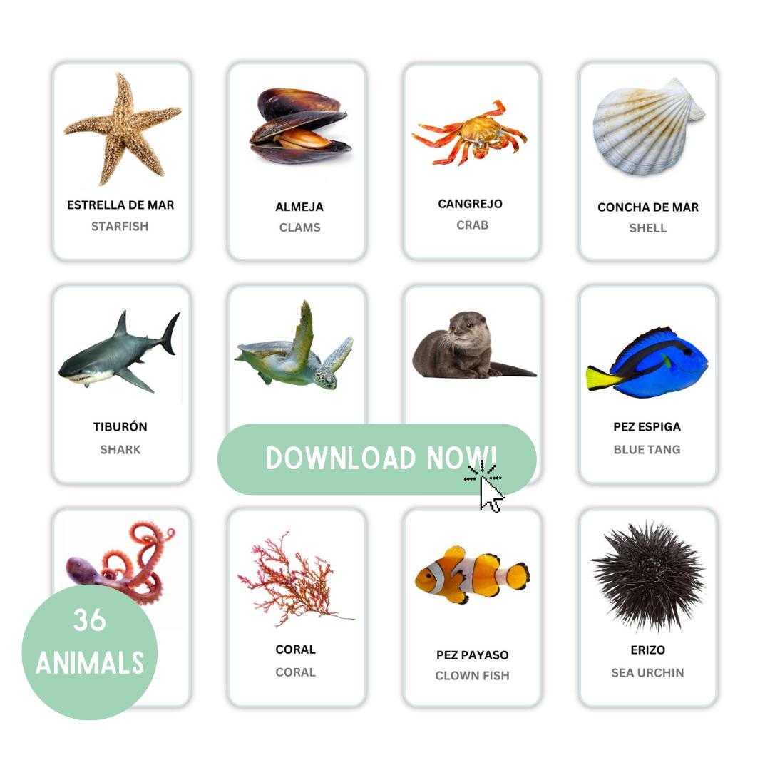 OCEAN ANIMALS Spanish / Sea Animals Flashcards, Three-part Montessori ...