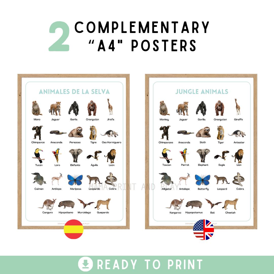 JUNGLE ANIMALS SPANISH Flashcards, Montessori Spanish Flashcards, Pre ...