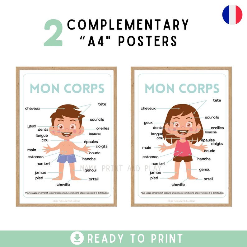 Printable French Body Parts Flashcards for Kids | Educational Digital ...