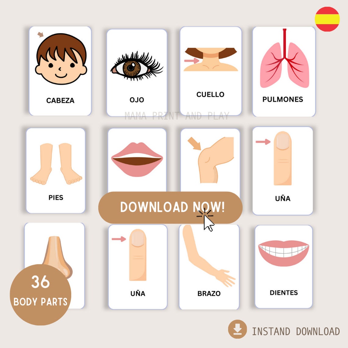 36 Body Parts Flashcards in Spanish, Montessori Flashcards, Pre-school ...