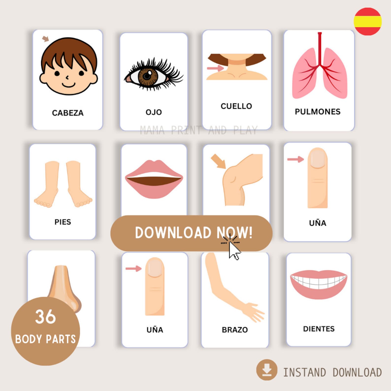 36 Body Parts Flashcards in Spanish, Montessori Flashcards, Pre-school ...