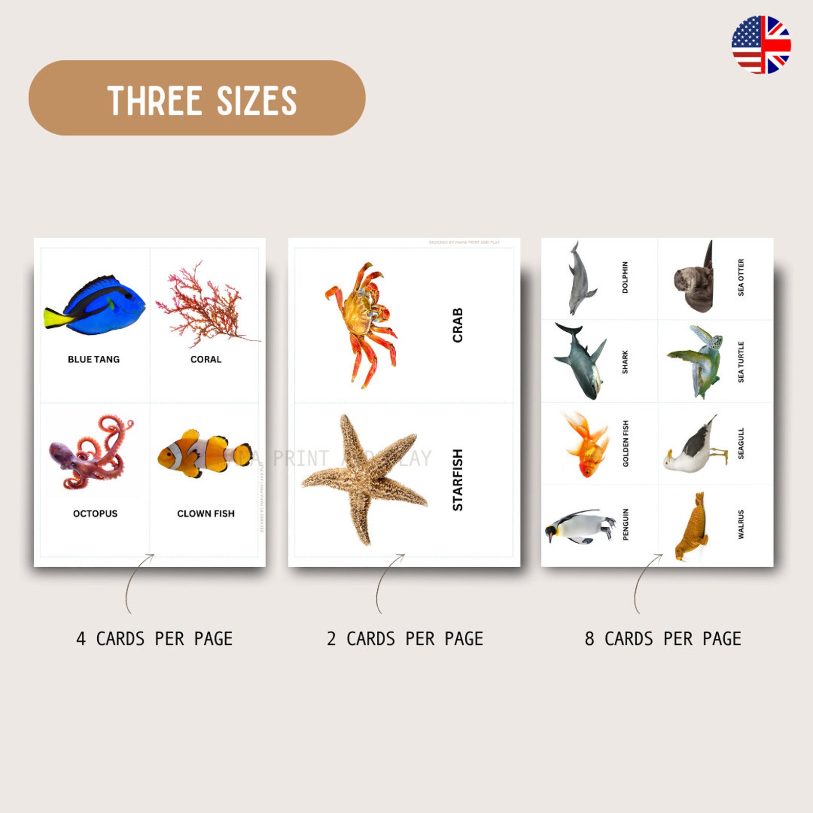 36 Sea Animals Cards, Animal Cards, Montessori Flash Cards, Real ...