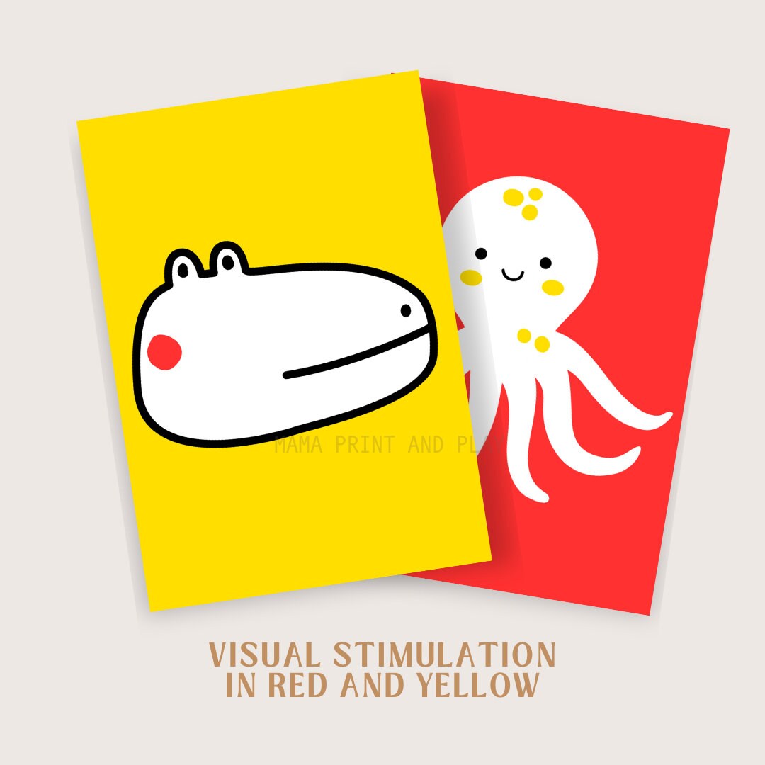 150 Baby Sensory Flashcards High Contrast Sensory Card Montessori Baby ...