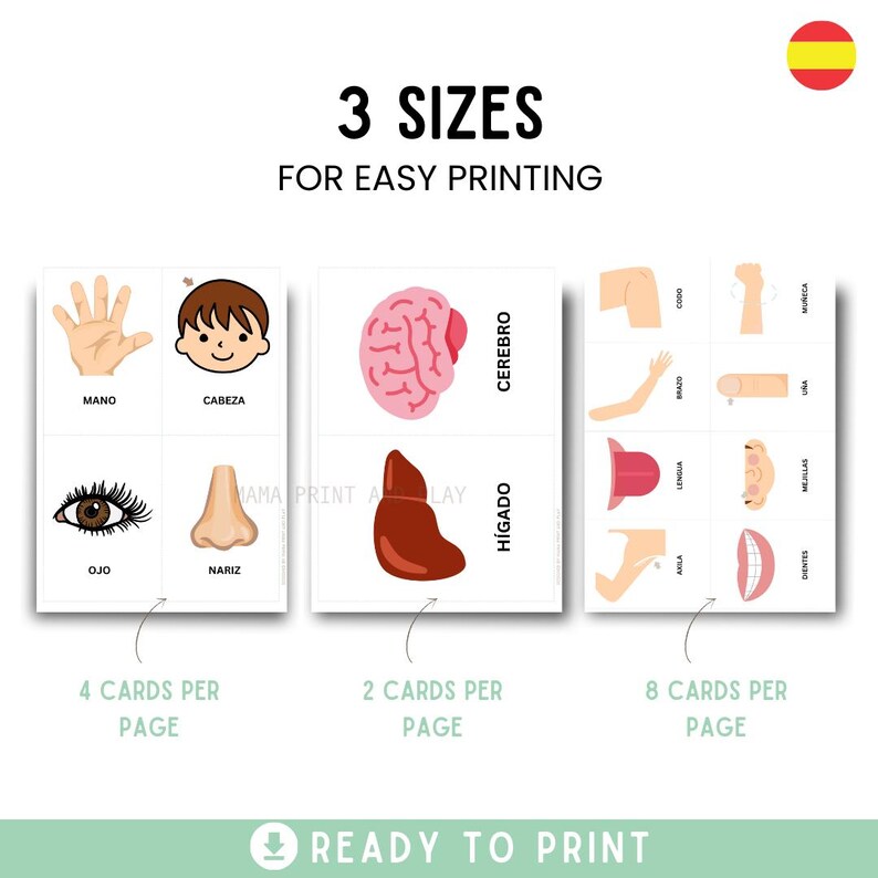 BODY PARTS SPANISH Flashcards, Montessori Spanish Flashcards, Pre ...