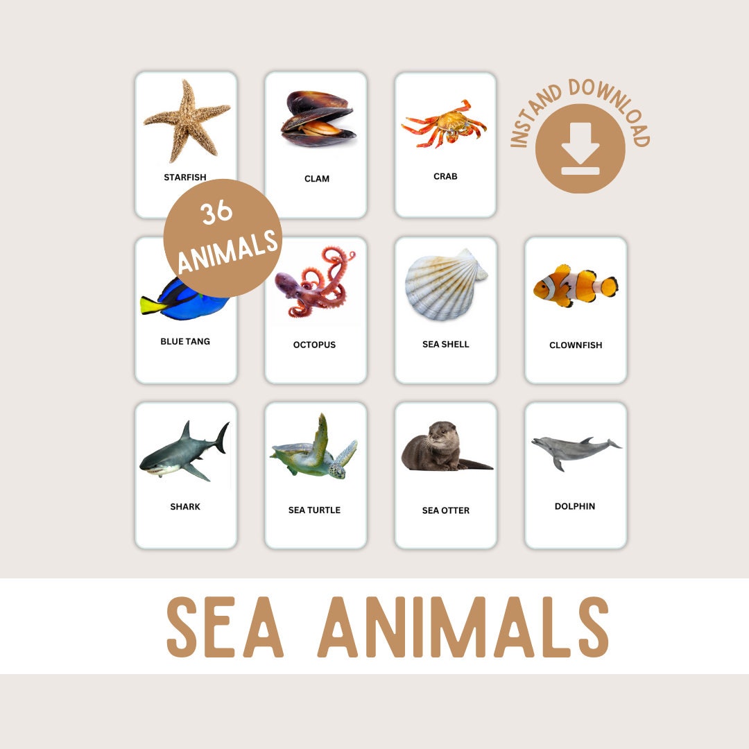 36 Sea Animals Cards, Animal Cards, Montessori Flash Cards, Real ...