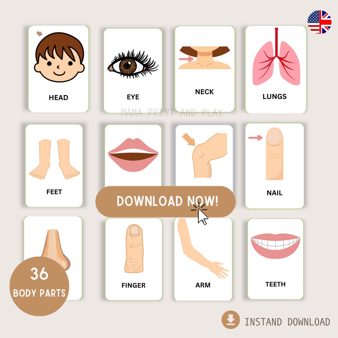 36 Body Parts Flashcards in English, Montessori Flashcards, Pre-school ...