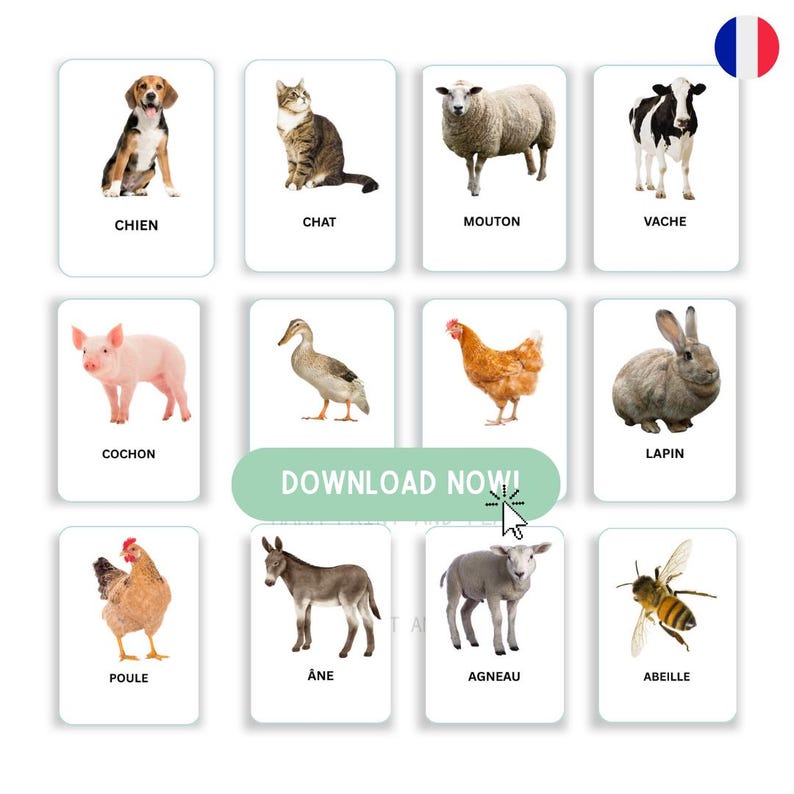 Farm Animals Flashcards in French for Kids | Printable Flashcards ...