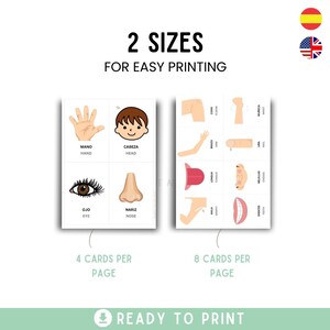 BODY PARTS BILINGUAL Flashcards, Spanish and English Flashcards, Pre ...