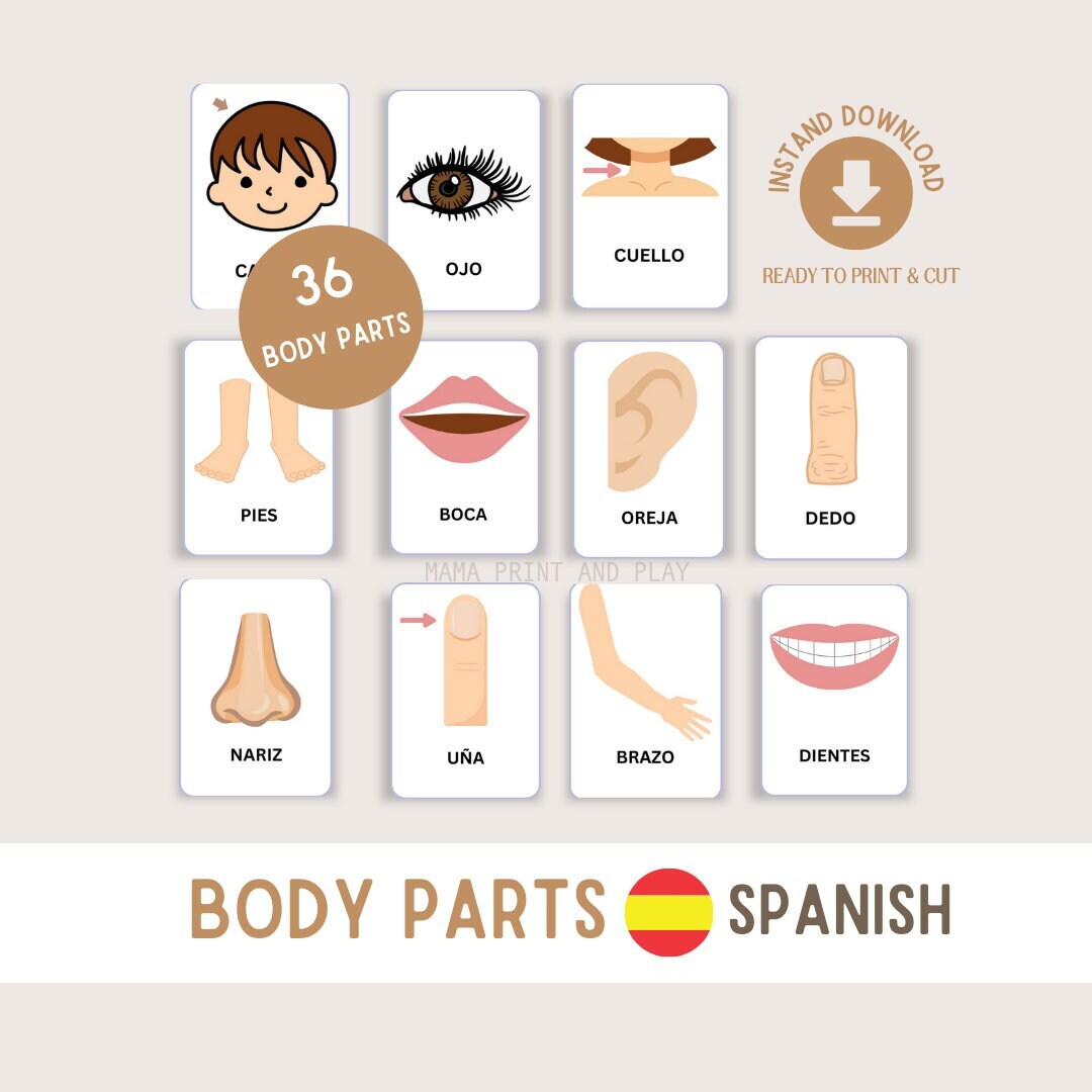 36 Body Parts Flashcards in Spanish, Montessori Flashcards, Pre-school ...
