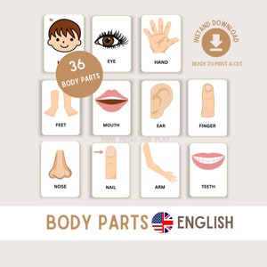36 Body Parts Flashcards in English, Montessori Flashcards, Pre-school ...