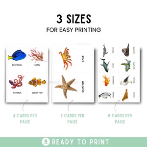 OCEAN ANIMALS | Sea Animals Flashcards | Montessori Cards | Educational ...