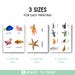 OCEAN ANIMALS | Sea Animals Flashcards | Montessori Cards | Educational ...