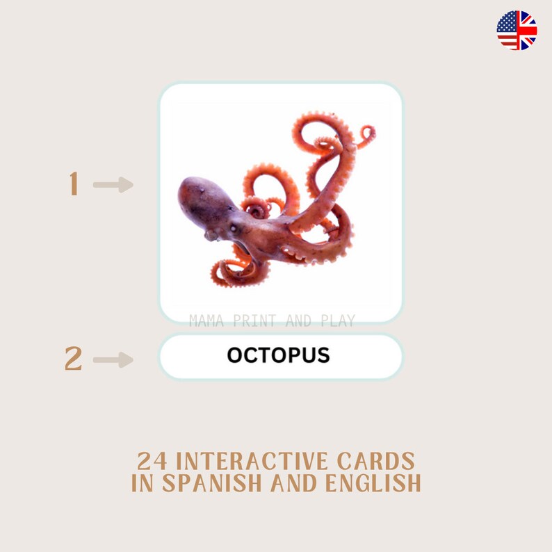 36 Sea Animals Cards, Animal Cards, Montessori Flash Cards, Real ...