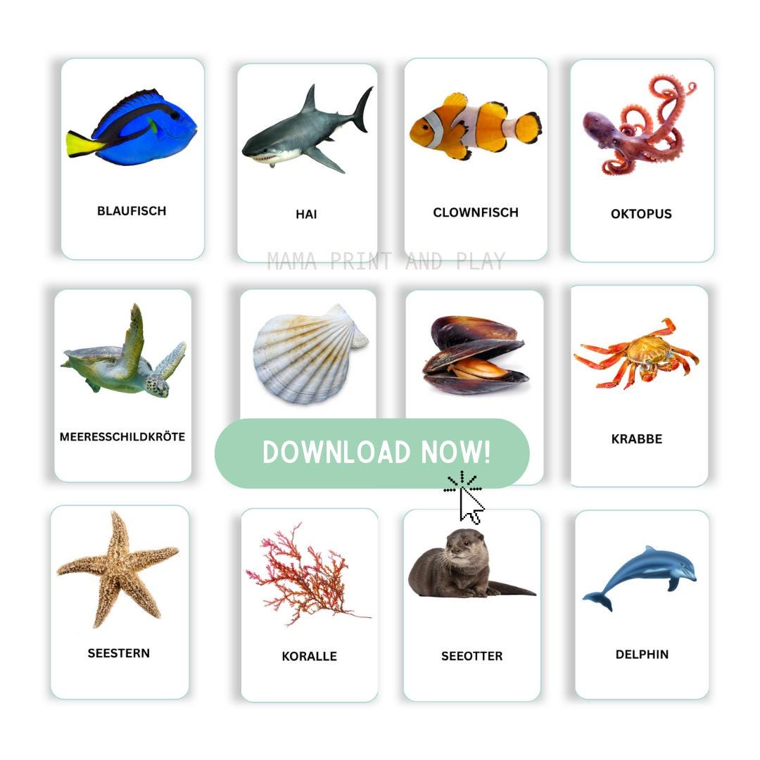 Sea Animals Flashcards German & English | Bilingual Educational ...