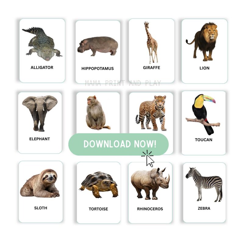 JUNGLE ANIMALS Flashcards, Montessori Flashcards, Pre-school Cards ...
