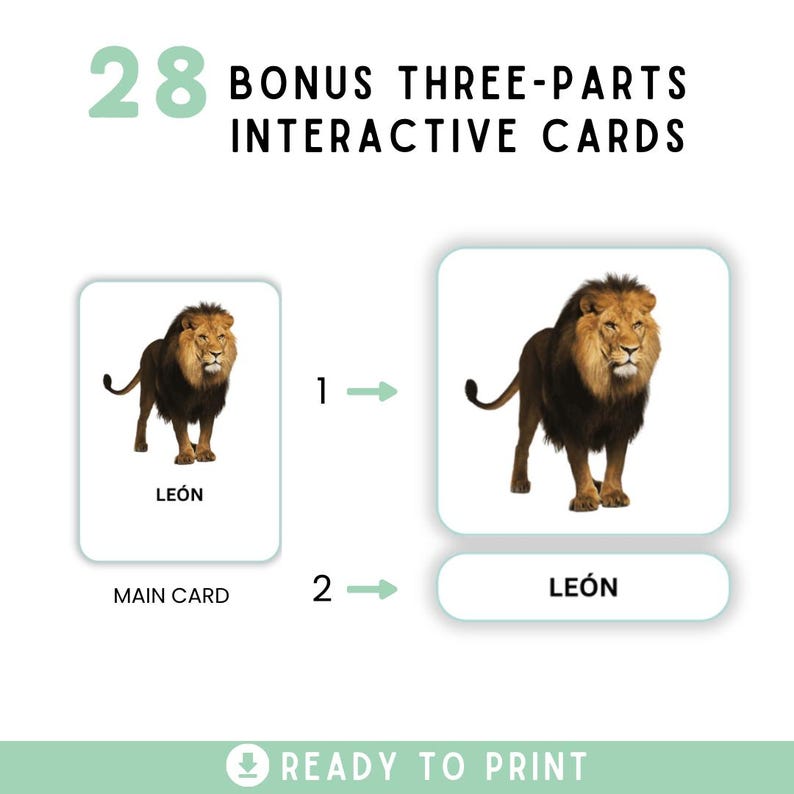 JUNGLE ANIMALS SPANISH Flashcards, Montessori Spanish Flashcards, Pre ...
