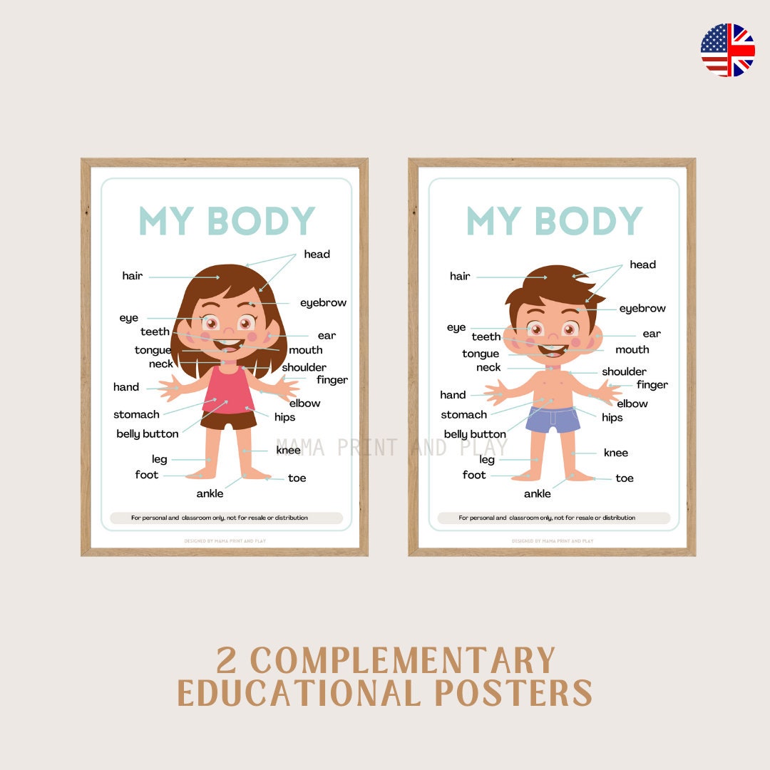 36 Body Parts Flashcards in English, Montessori Flashcards, Pre-school ...