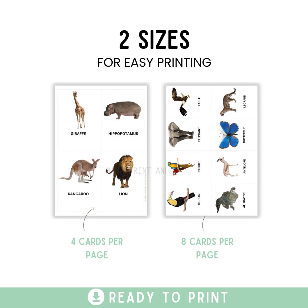 JUNGLE ANIMALS Flashcards, Montessori Flashcards, Pre-school Cards ...
