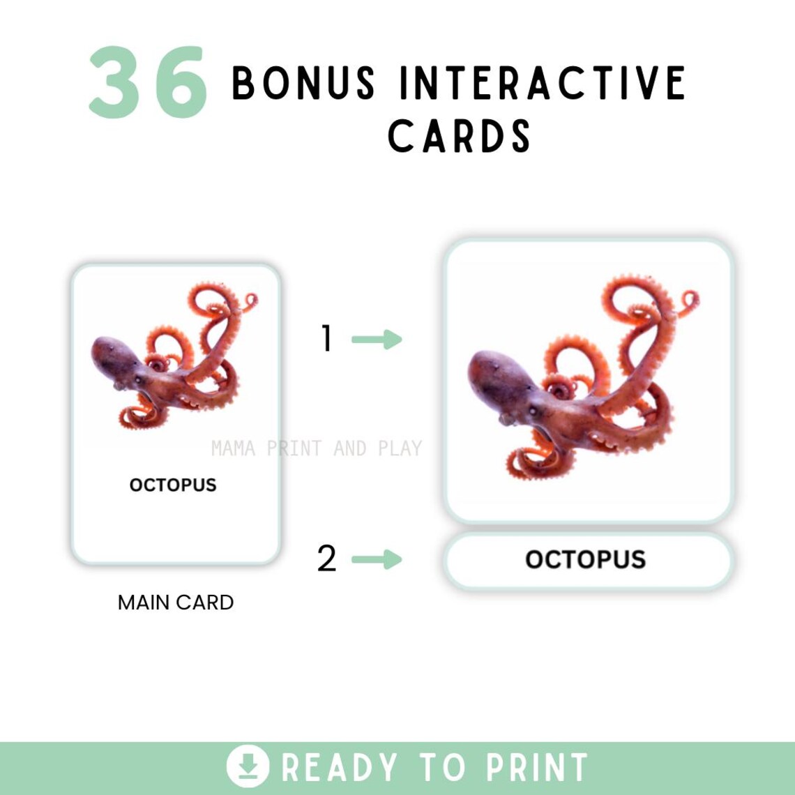 OCEAN ANIMALS | Sea Animals Flashcards | Montessori Cards | Educational ...