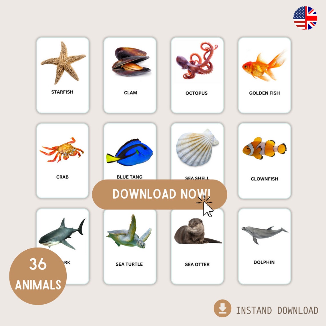 36 Sea Animals Cards, Animal Cards, Montessori Flash Cards, Real ...