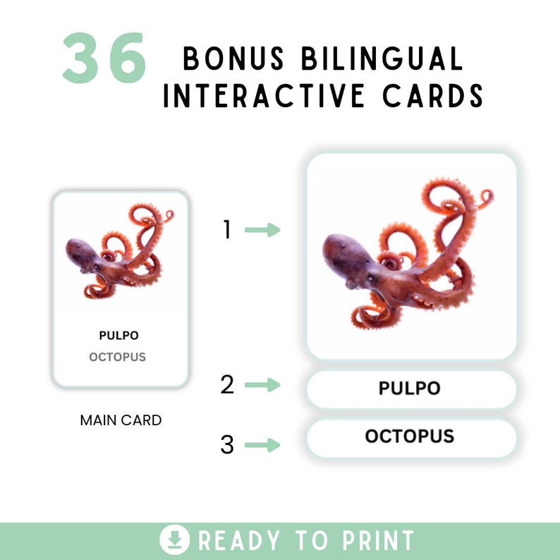 OCEAN ANIMALS Spanish / Sea Animals Flashcards, Three-part Montessori ...