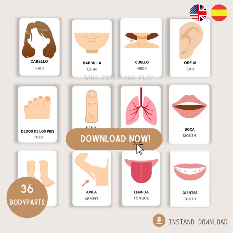 36 Body Parts Bilingual Cards, Montessori Flashcards, Preschool Cards ...