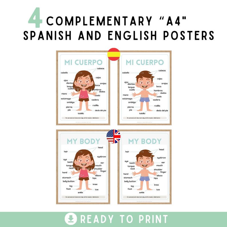BODY PARTS BILINGUAL Flashcards, Spanish and English Flashcards, Pre ...