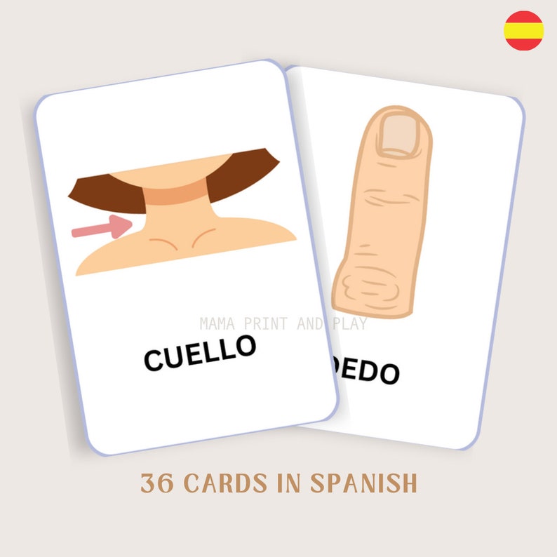 36 Body Parts Flashcards in Spanish, Montessori Flashcards, Pre-school ...