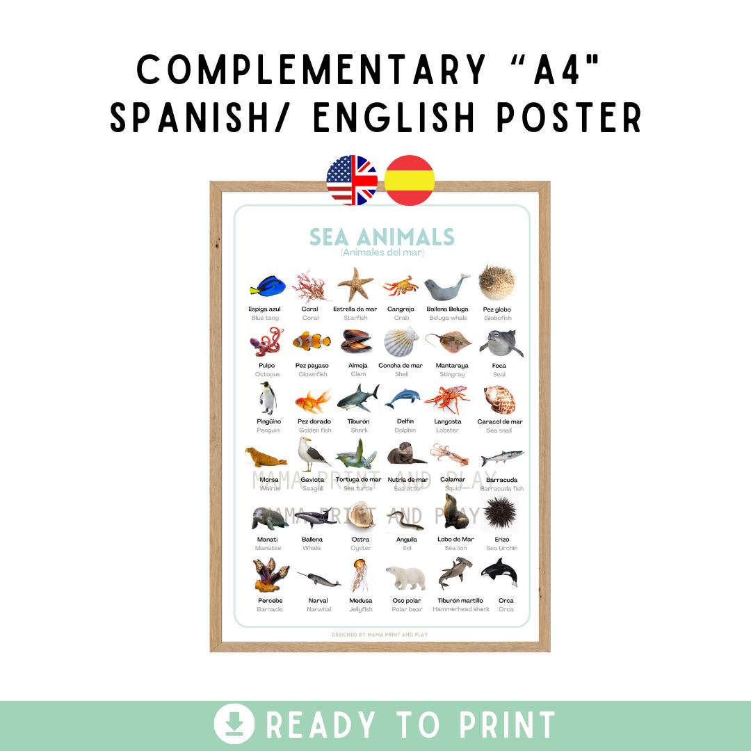 OCEAN ANIMALS Spanish / Sea Animals Flashcards, Three-part Montessori ...