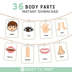 BODY PARTS Flashcards, Montessori Flashcards, Pre-school Flashcards ...
