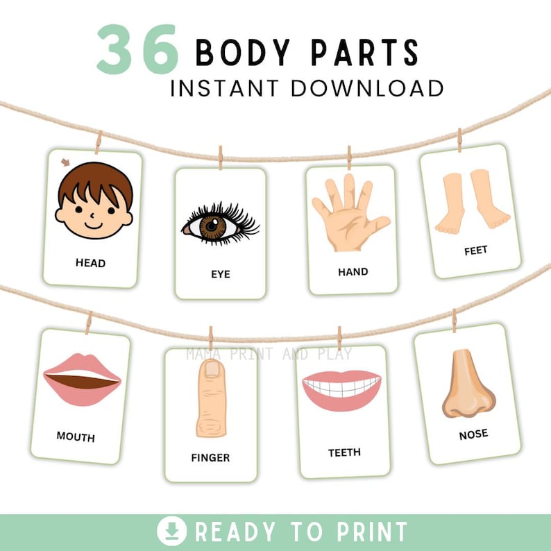 BODY PARTS Flashcards, Montessori Flashcards, Pre-school Flashcards ...