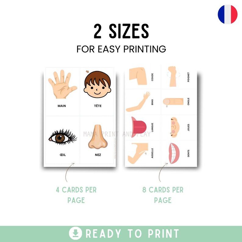 Printable French Body Parts Flashcards for Kids | Educational Digital ...