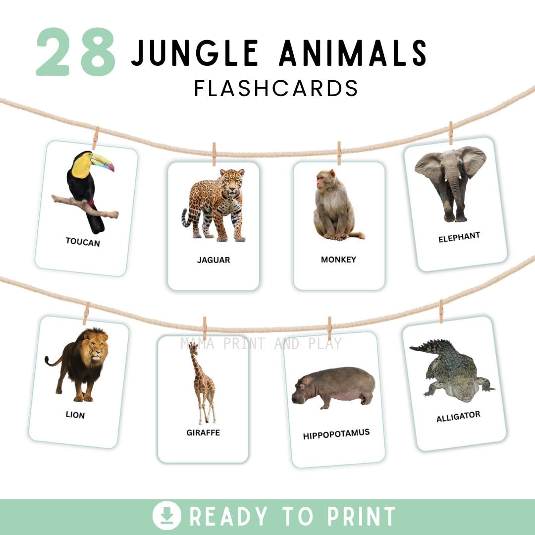 JUNGLE ANIMALS Flashcards, Montessori Flashcards, Pre-school Cards ...