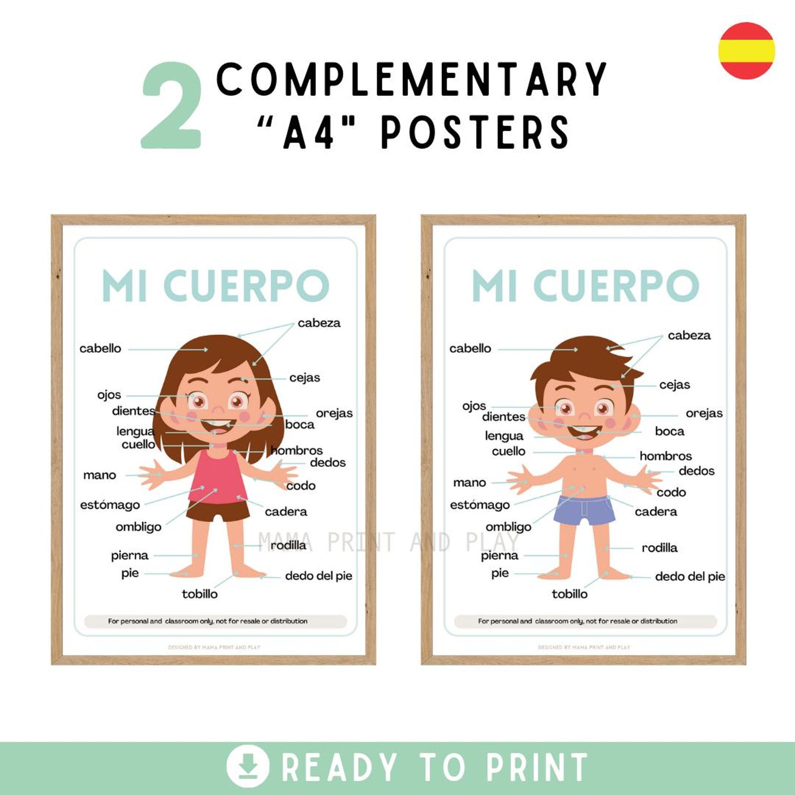 BODY PARTS SPANISH Flashcards, Montessori Spanish Flashcards, Pre ...
