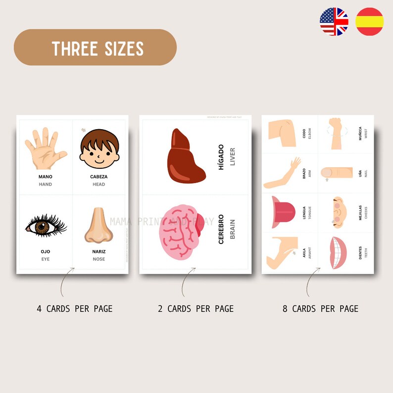 36 Body Parts Bilingual Cards, Montessori Flashcards, Preschool Cards ...