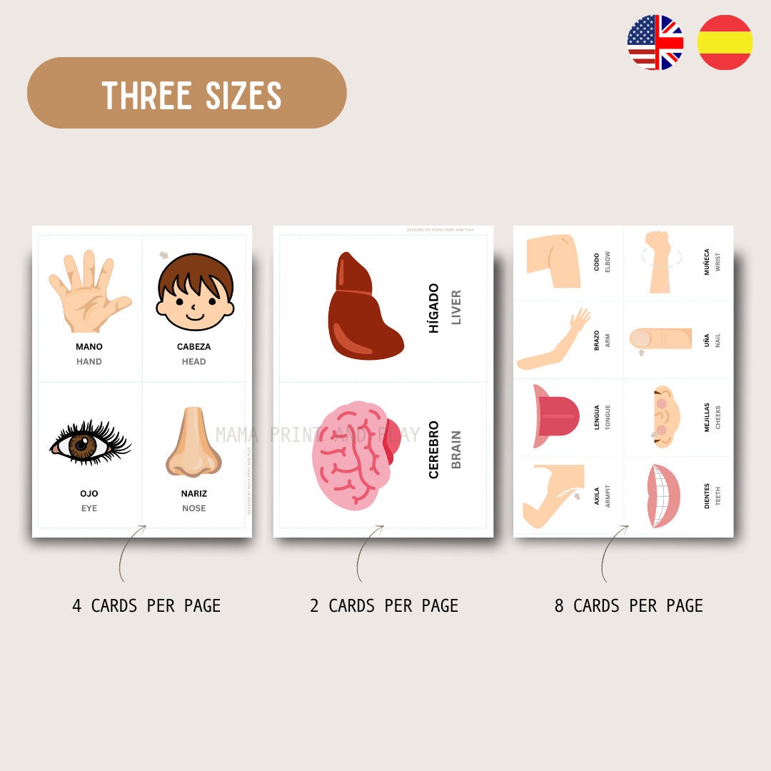 36 Body Parts Bilingual Cards, Montessori Flashcards, Preschool Cards ...