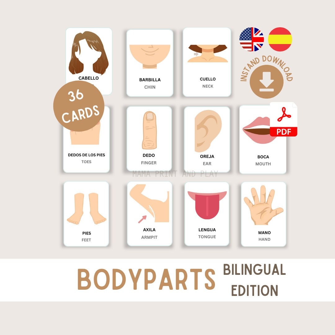 36 Body Parts Bilingual Cards, Montessori Flashcards, Preschool Cards ...