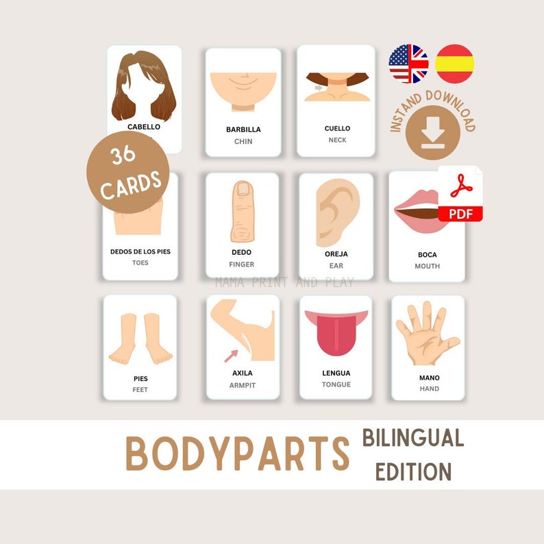 36 Body Parts Bilingual Cards, Montessori Flashcards, Preschool Cards ...