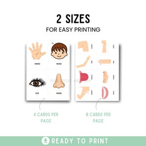 BODY PARTS Flashcards, Montessori Flashcards, Pre-school Flashcards ...