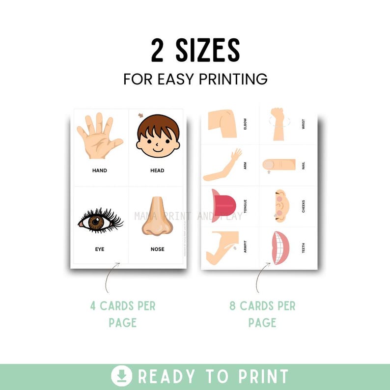 BODY PARTS Flashcards, Montessori Flashcards, Pre-school Flashcards ...
