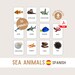 36 Sea Animals Cards in SPANISH Montessori Cards Flashcards PDF ...