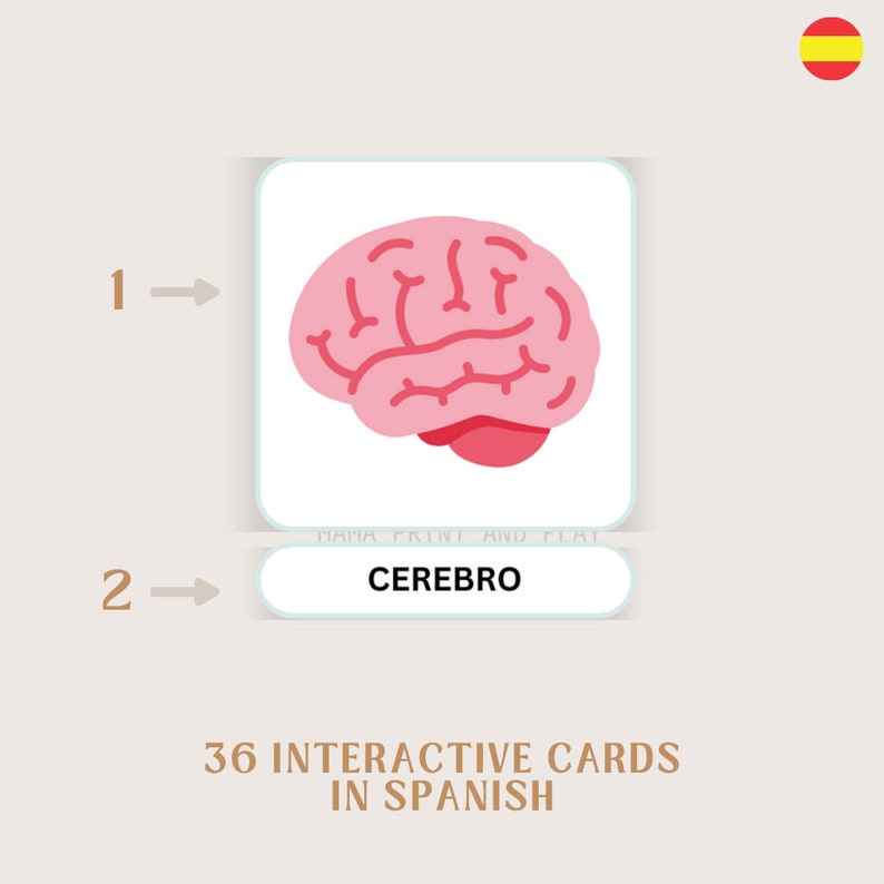 36 Body Parts Flashcards in Spanish, Montessori Flashcards, Pre-school ...