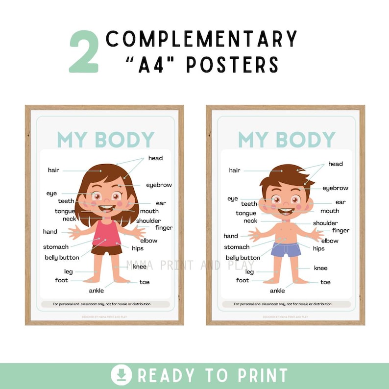 BODY PARTS Flashcards, Montessori Flashcards, Pre-school Flashcards ...