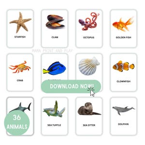 OCEAN ANIMALS | Sea Animals Flashcards | Montessori Cards | Educational ...